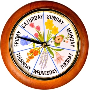 Dementia Wall Clock & Day Date Time Clocks in the UK, Dayclox - DayClox